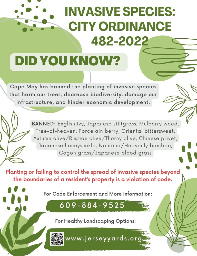 Official Website for the City of Cape May NJ - Environmental Commission